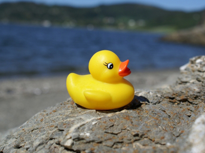 NASA face experimente sofisticate... cu ratuste de plastic