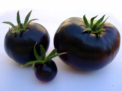 Rosii negre, pentru tinerete fara batranete