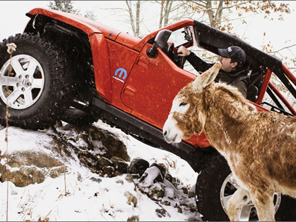 Daca nu iti permiti un Jeep Lower Forty, cumpara-ti magar! (Poze)