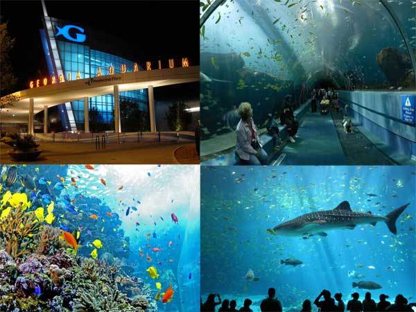 Cel mai mare aquarium din lume este in Georgia (Poze)
