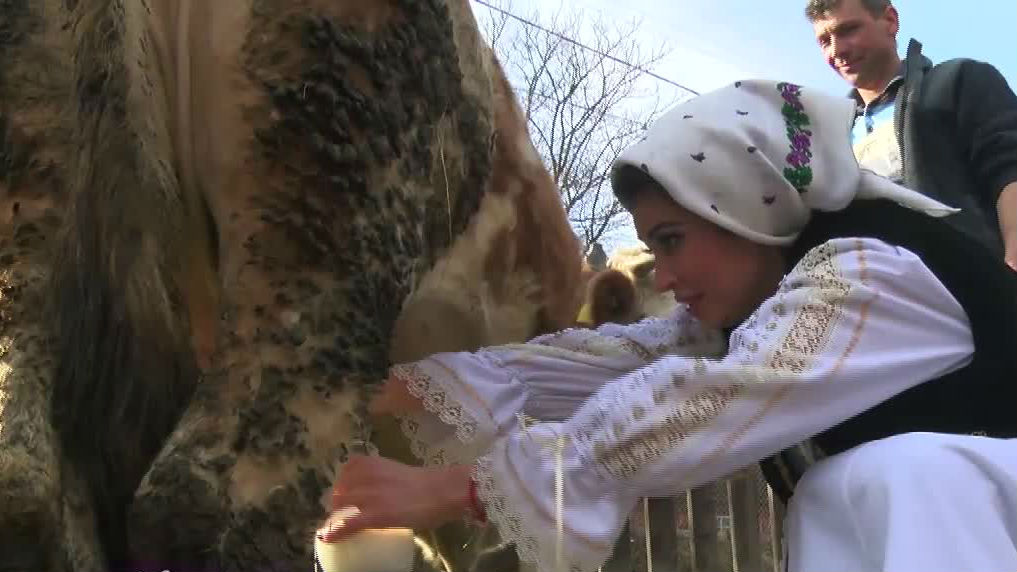Nicoleta Luciu a ajuns la coada vacii